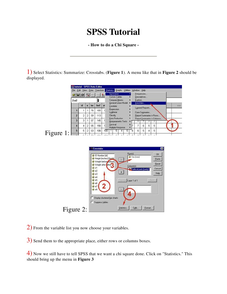 SPSS Tutorial: - How To Do A Chi Square | PDF