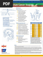 Stomach Cancer TNM Staging Guide | PDF | Stomach | Causes Of Death