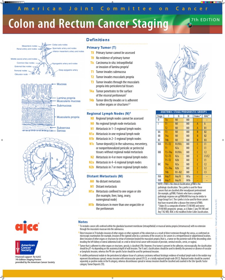 Colon Cancer TNM Staging Overview | PDF | Science & Mathematics | History