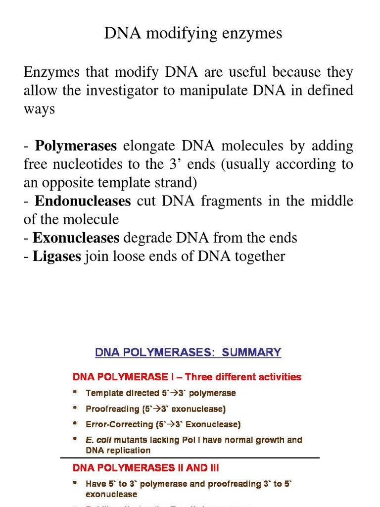 Overview of DNA Modifying Enzymes | PDF | Restriction Enzyme | Gel ...