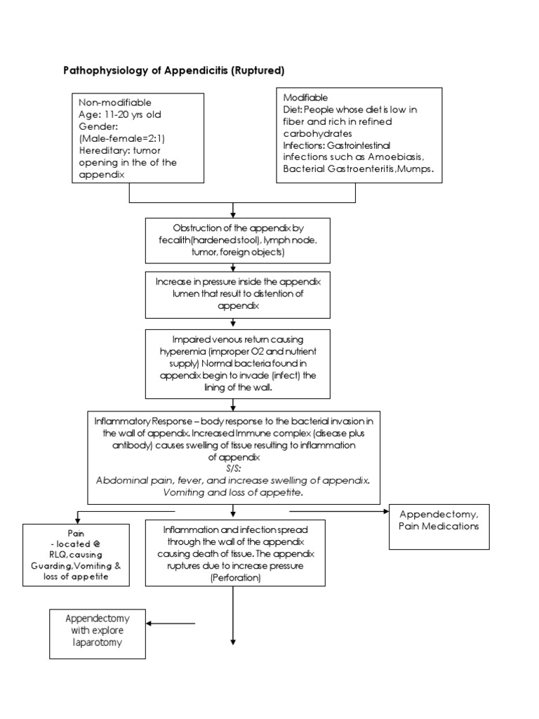 Pathophysiology of Appendicitis | PDF