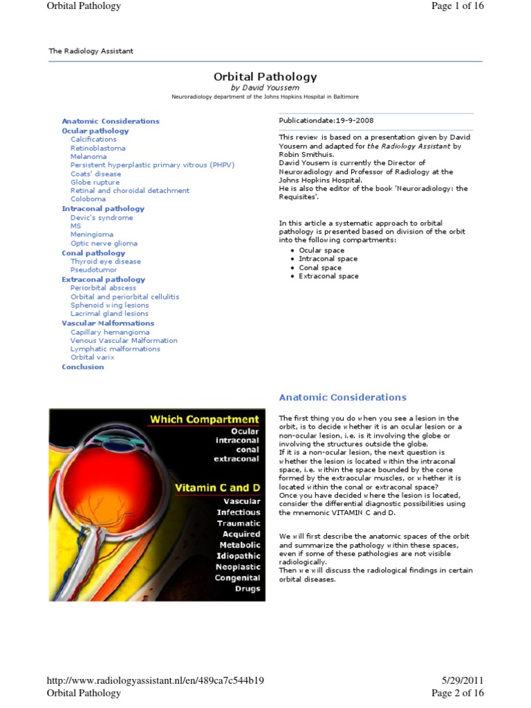 Eye Terms | PDF | Ophthalmology | Human Anatomy