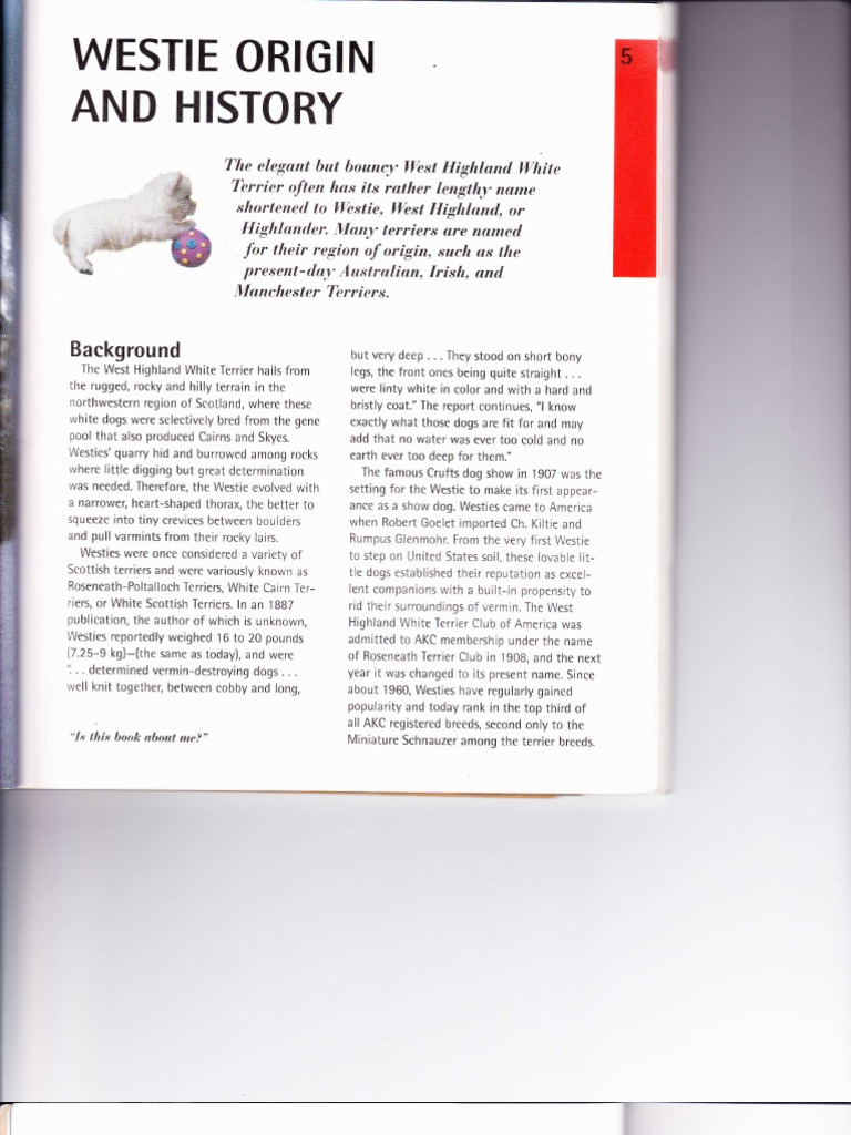 Terriers | PDF | Terriers | Mammals As Pets