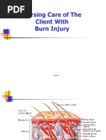 American Burn Association Practice Guidelines | Saline (Medicine) | Burn
