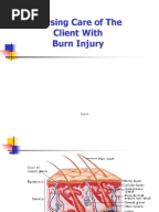 American Burn Association Practice Guidelines