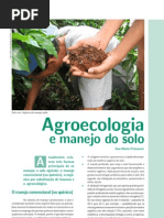 Características dos Vertissolos no Brasil | PDF | Solo | Irrigação