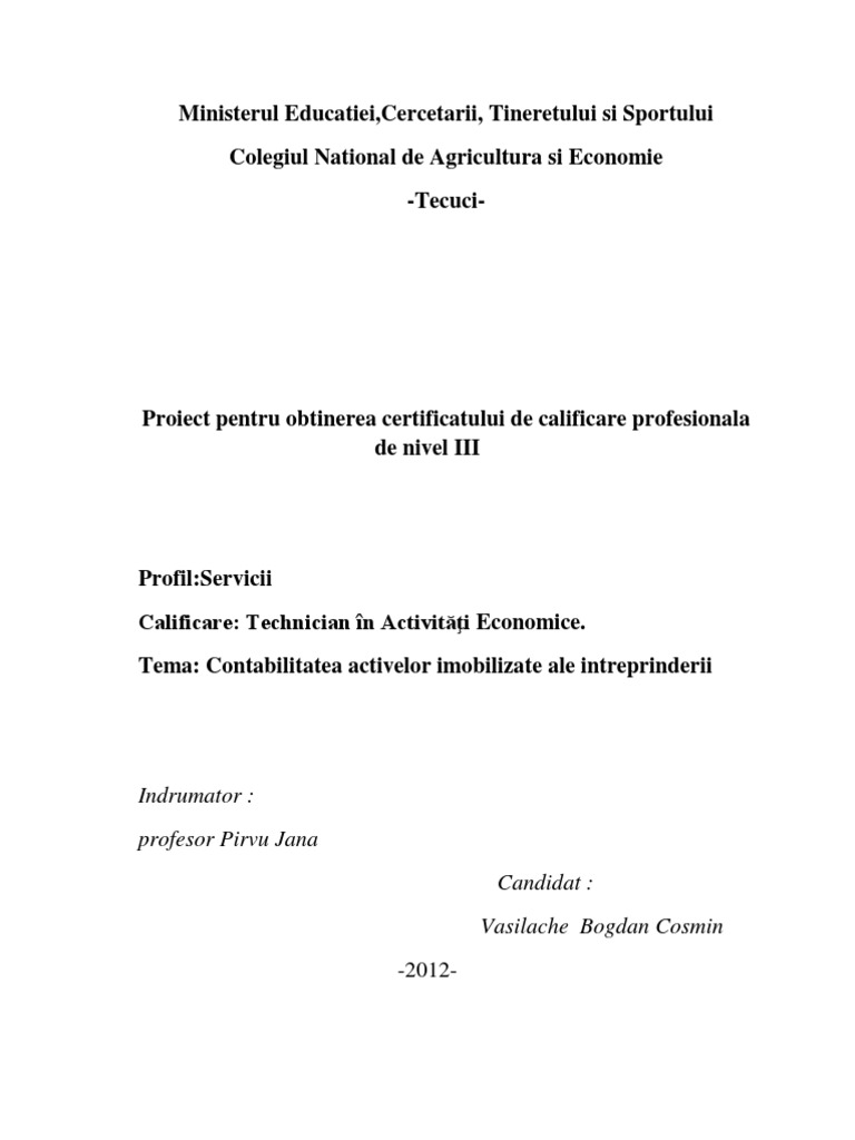 Active Imobilizate | PDF