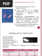 Retortamonas intestinalis: Protozoo Intestinal | PDF | Biología | Medicina