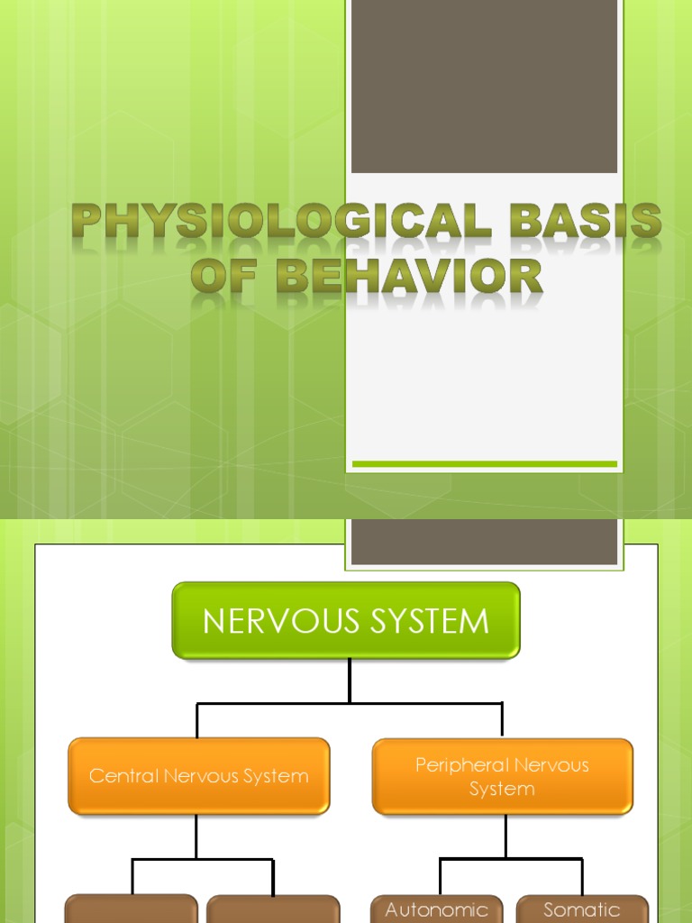 Physiological Basis of Behavior | Nervous System | Neuron