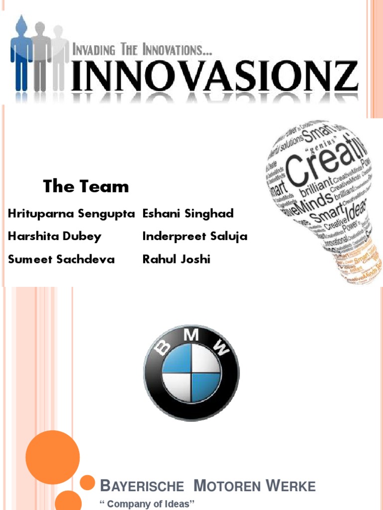 BMW's Target Audience Insights | PDF