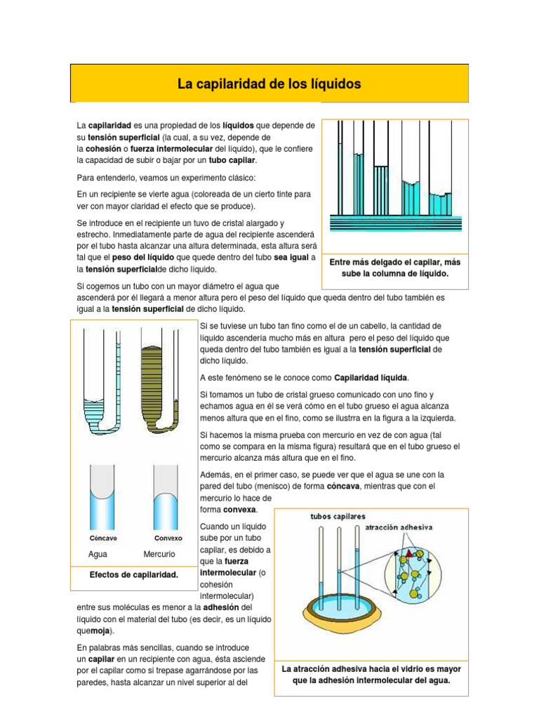 La Capilaridad de Los Líquidos | PDF | Ingeniería Química | Ingeniería ...