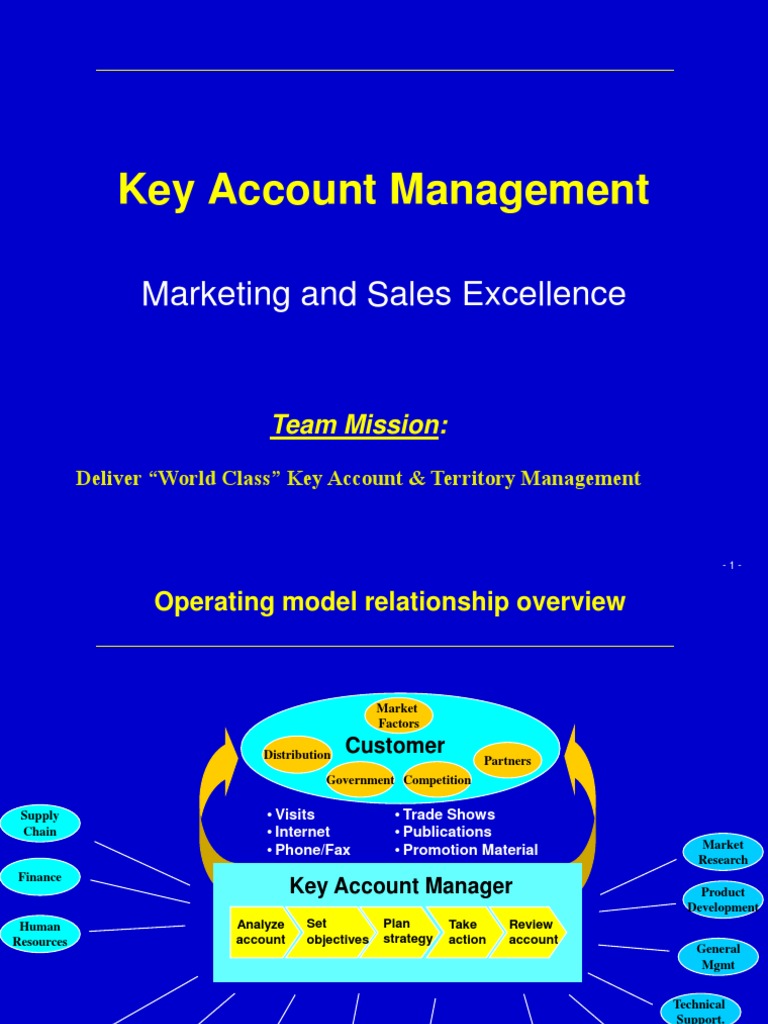 Key Account Management | PDF | Strategic Management | Sales