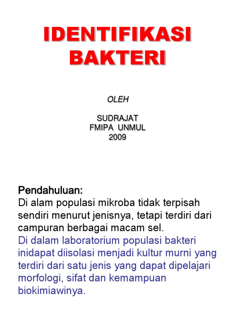 Identifikasi Bakteri | PDF