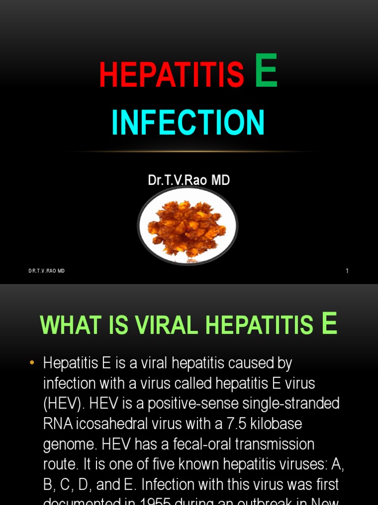 Hepatitis E Infection | PDF | Hepatitis | Virus