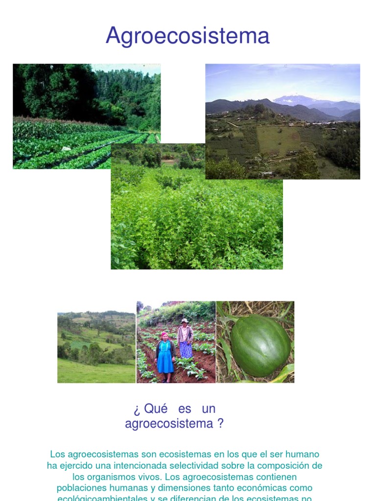 Agroecosistema 110630205721 Phpapp02 | PDF | Agroecología | Sustentabilidad