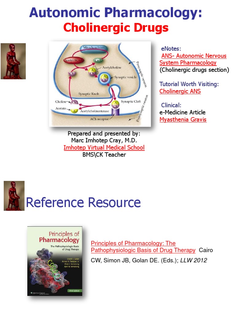 Cholinergic Drugs in Autonomic Pharmacology | PDF | Acetylcholine ...