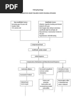 Congestive Heart Failure and Pulmonary Edema Concept Map | PDF | Heart ...