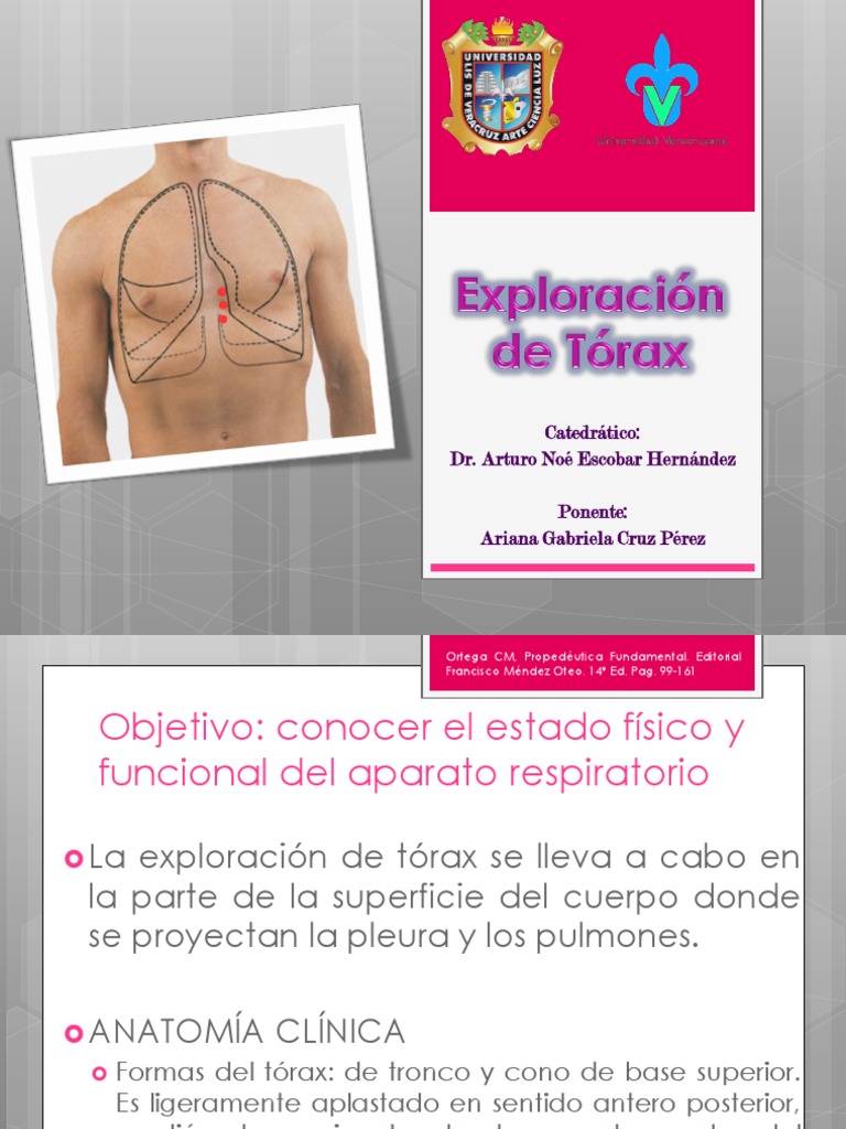 Exploración de Tórax | PDF | Tórax | Sonido