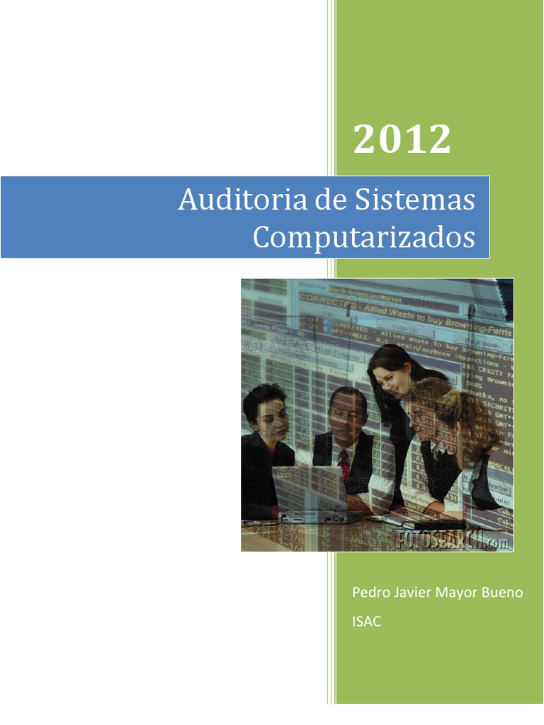 Auditoria de Sistemas Computarizado | Auditoría | Software