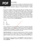 Reglas Básicas Algebraicas | PDF | Métodos y materiales de enseñanza