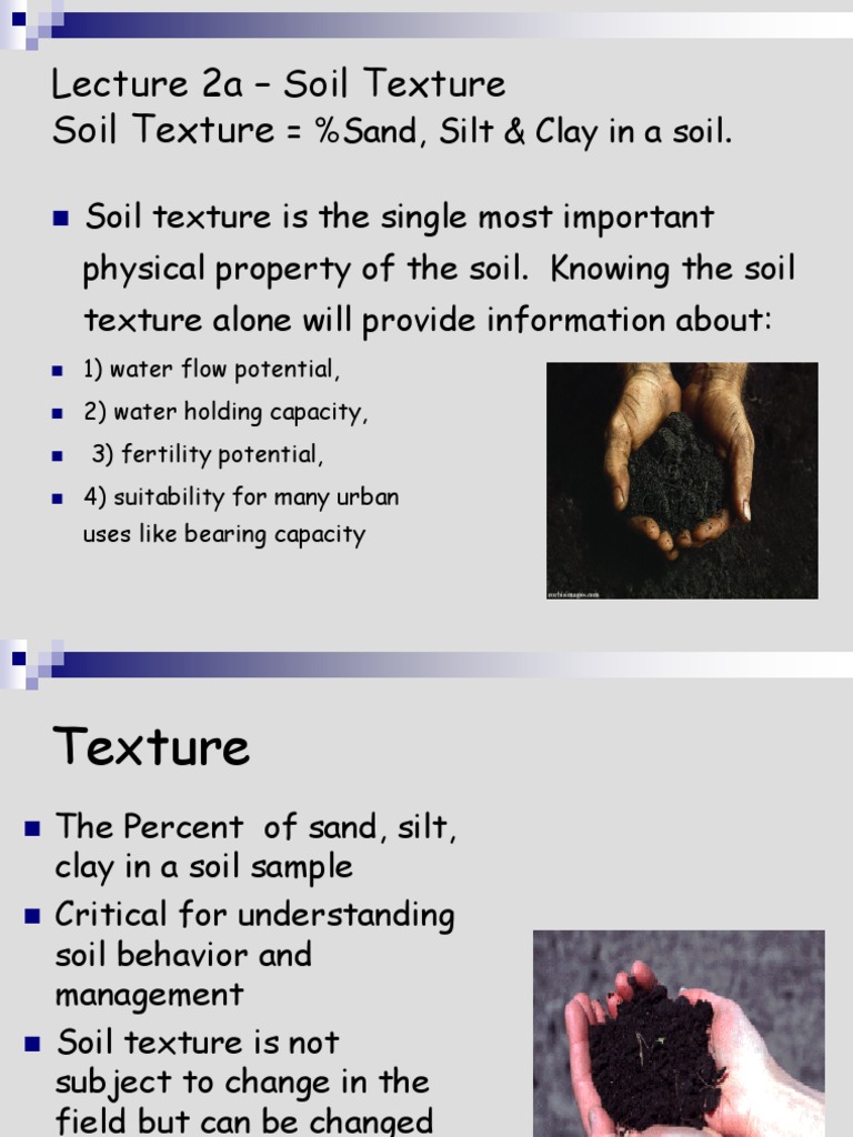 Soil Texture | PDF