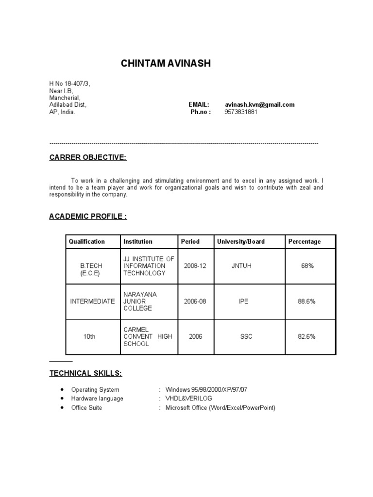 Avinash CV | PDF | Computing | Intellectual Works