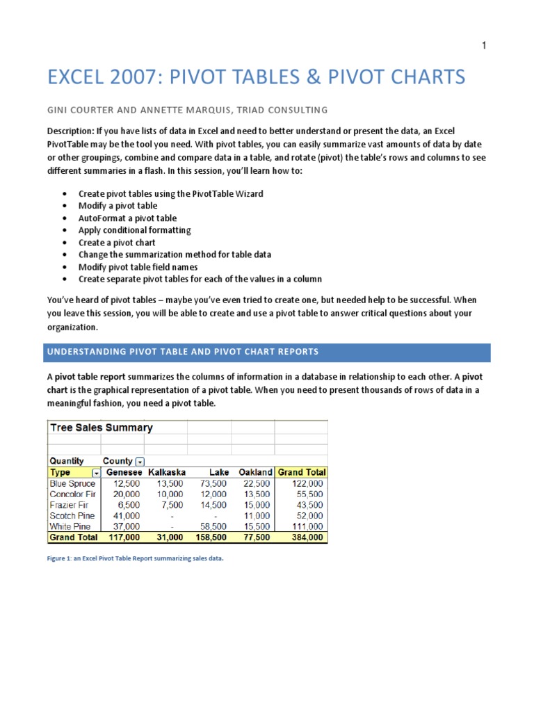 Excel 2007 Pivot Tables and Charts | PDF | Microsoft Excel | Data ...