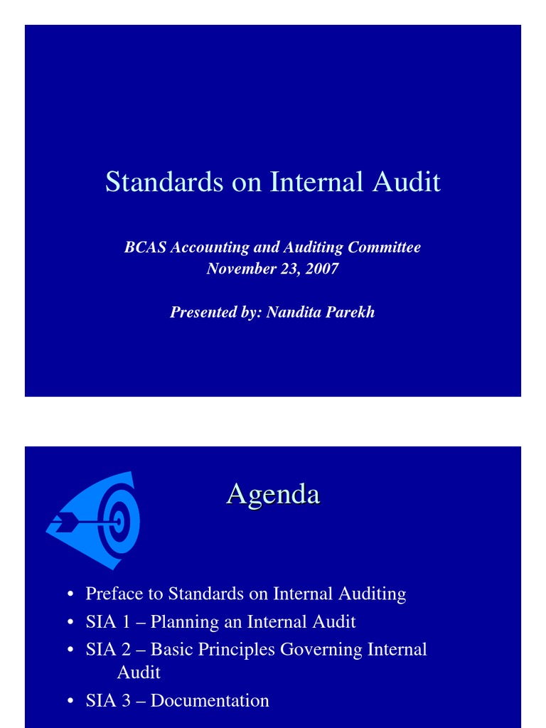 Internal Audit Standards Overview | PDF