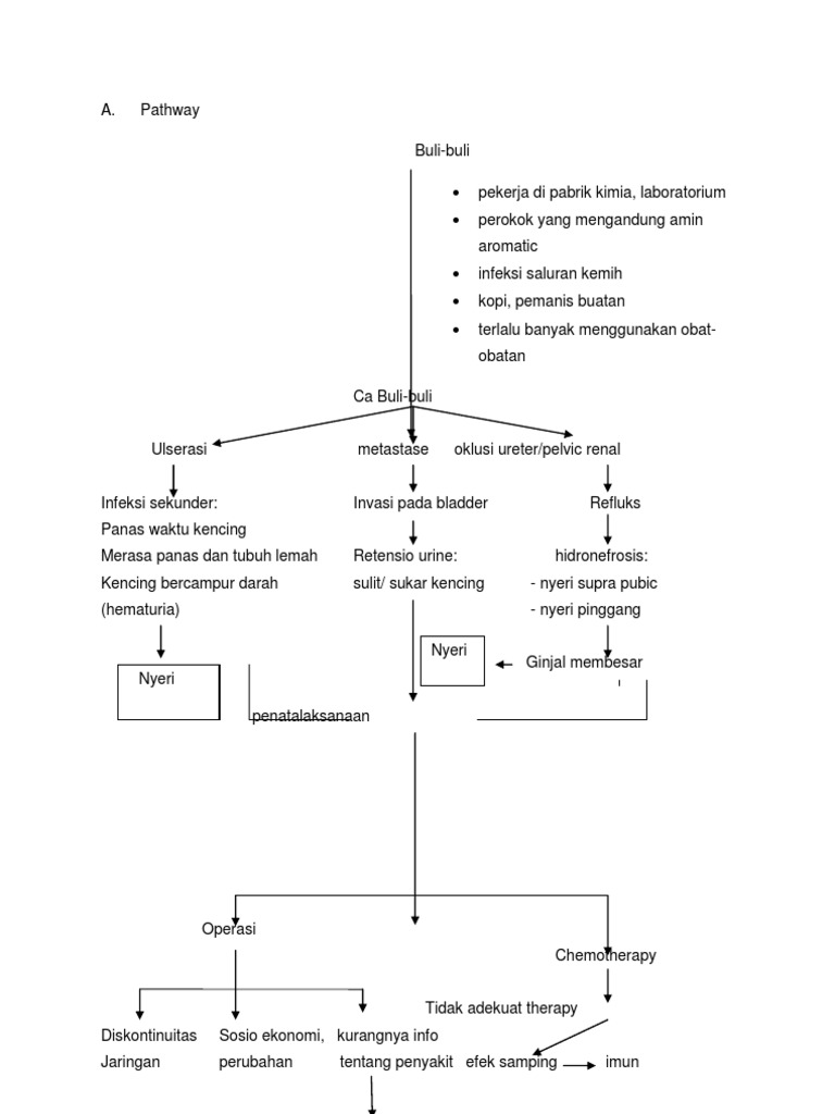 Pathway CA Buli | PDF