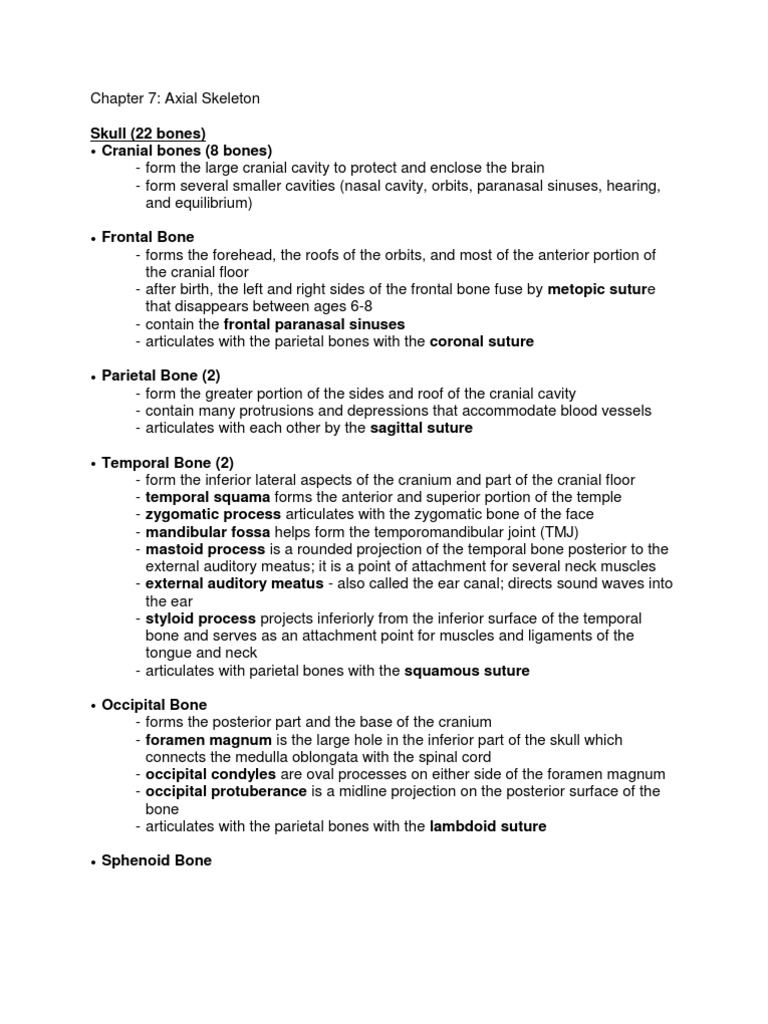 Bio 201 - Bone Practical Part 1 (Axial Skeleton) | PDF | Vertebra ...