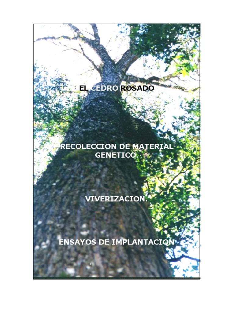 Cedro Rosado | PDF | Los bosques | Agricultura