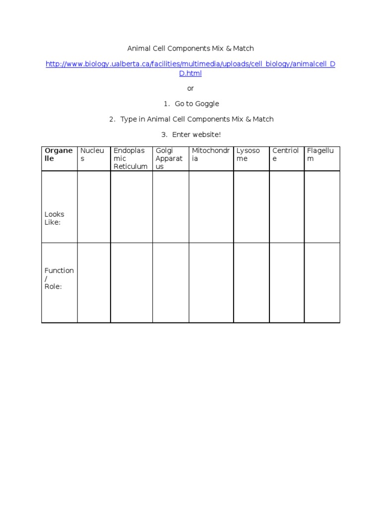 Animal Cell Components Overview | PDF | Science & Mathematics ...