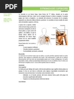 Funcionamiento del SINAVE en México | PDF | Epidemiología ...