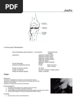 PNF - Kabat | PDF | Músculo esquelético | Neurociência