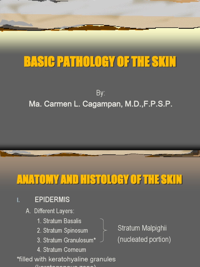 Basic Pathology of The Skin | PDF | Cutaneous Conditions | Skin