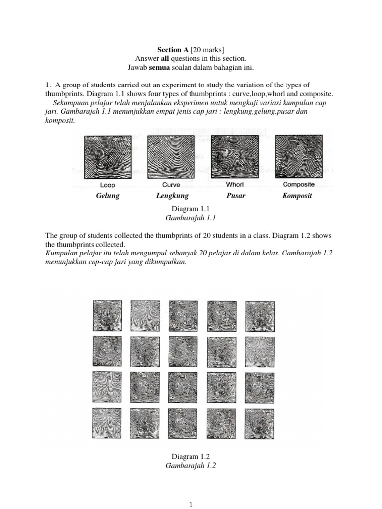 Soalan Sains Form 4 | PDF