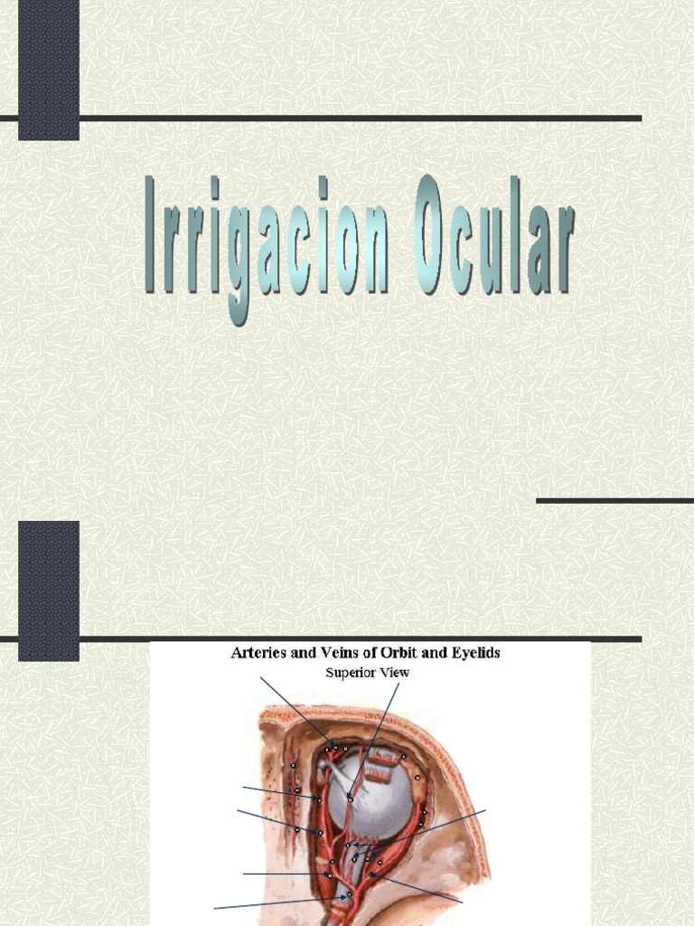 Irrigacion Ocular para Scribd | PDF