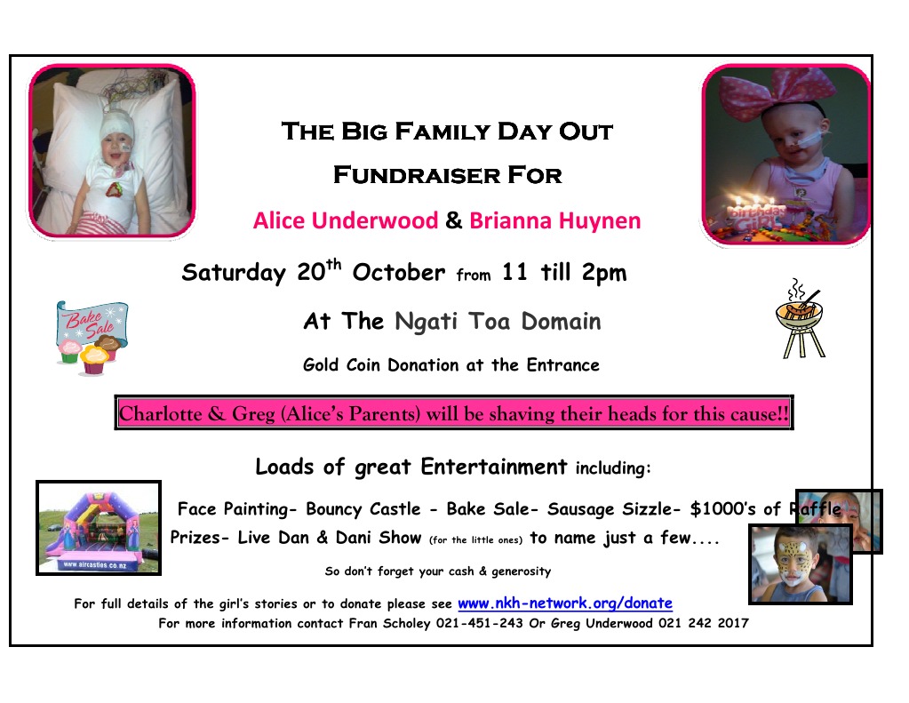 The Big Family Day Out | Download Free PDF | Chemotherapy | Medical ...