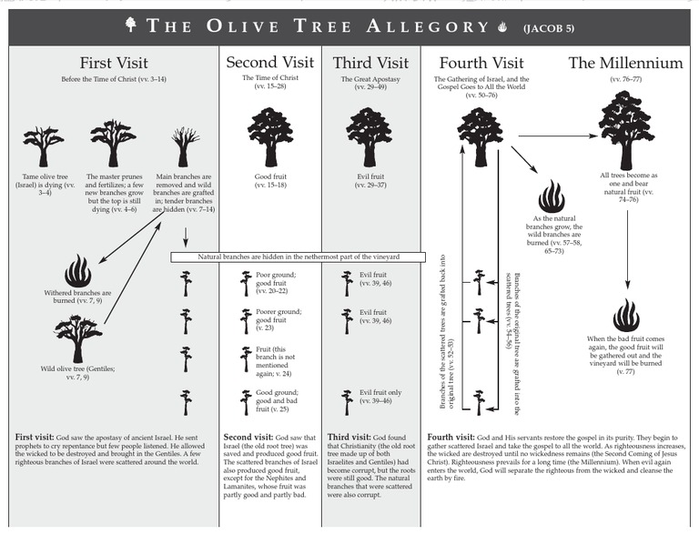 Jacob 5 - The Olive Tree Allegory | Olive | Trees