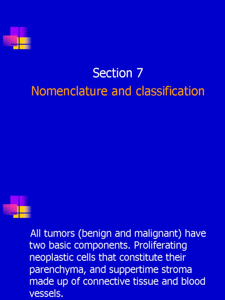 A Comprehensive Guide to Tumor Nomenclature and Classification Based on ...