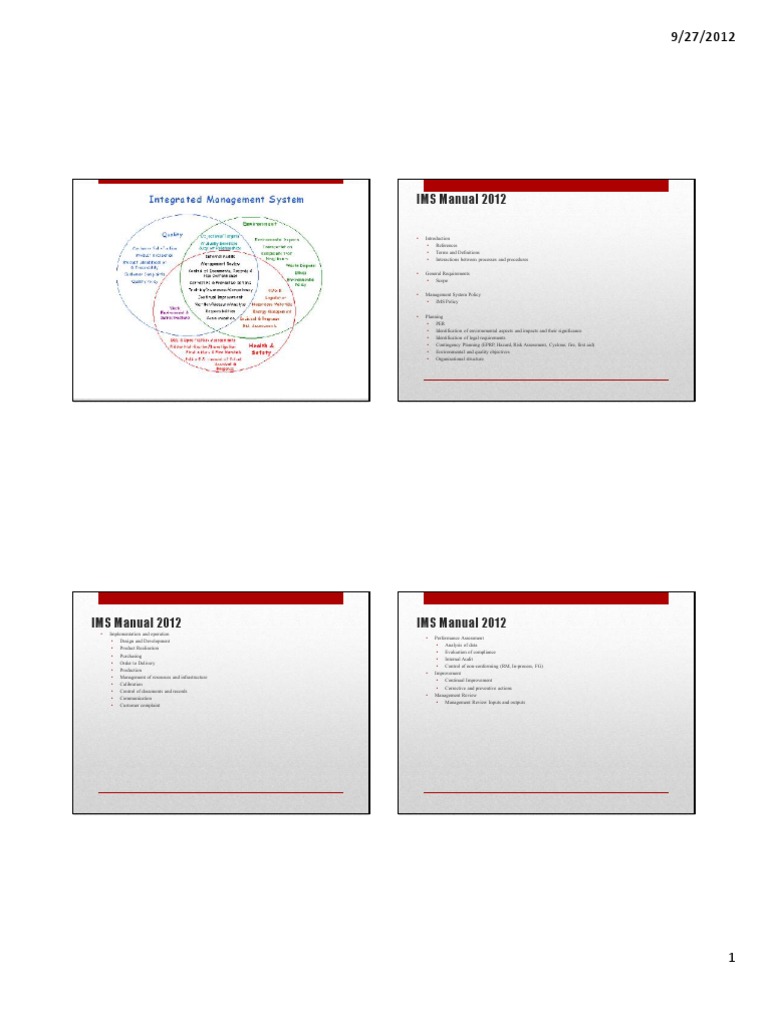 IMS Internal Auditors Briefing | PDF | Audit | Internal Audit