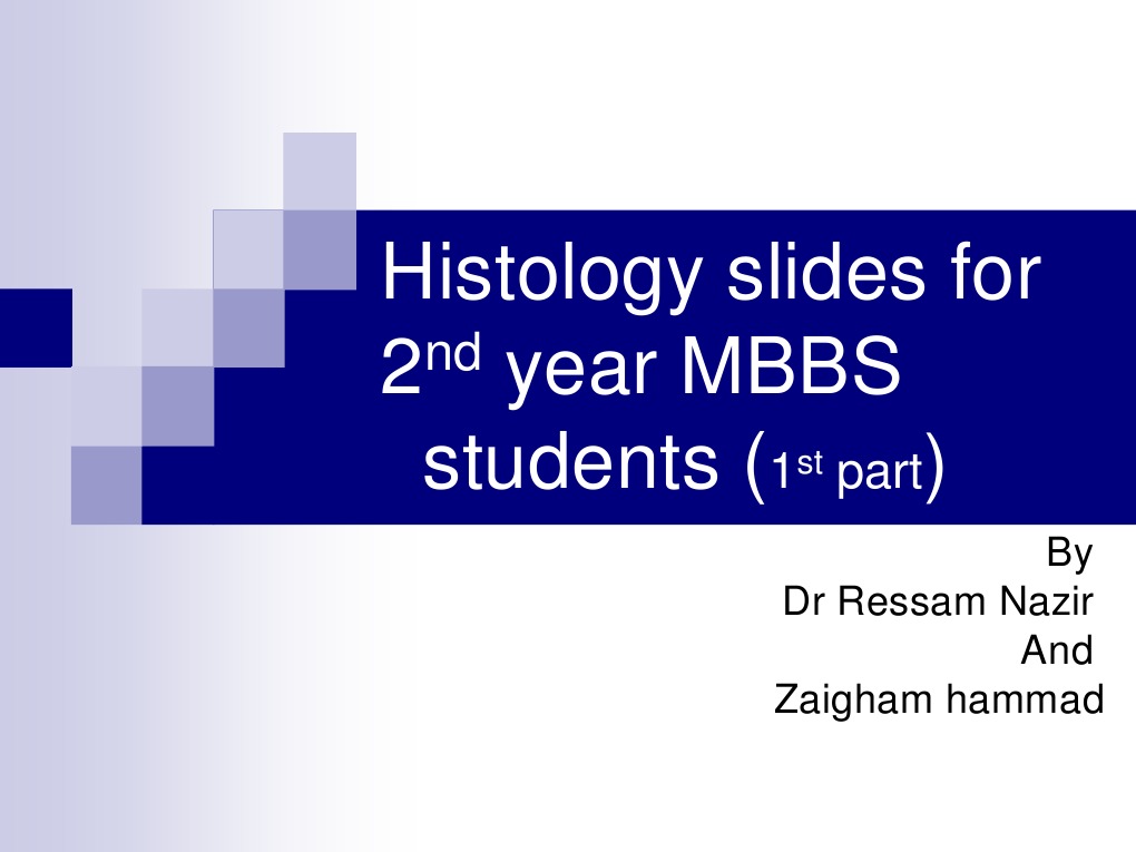 2nd Year MBBS Histology Slides Guide | PDF