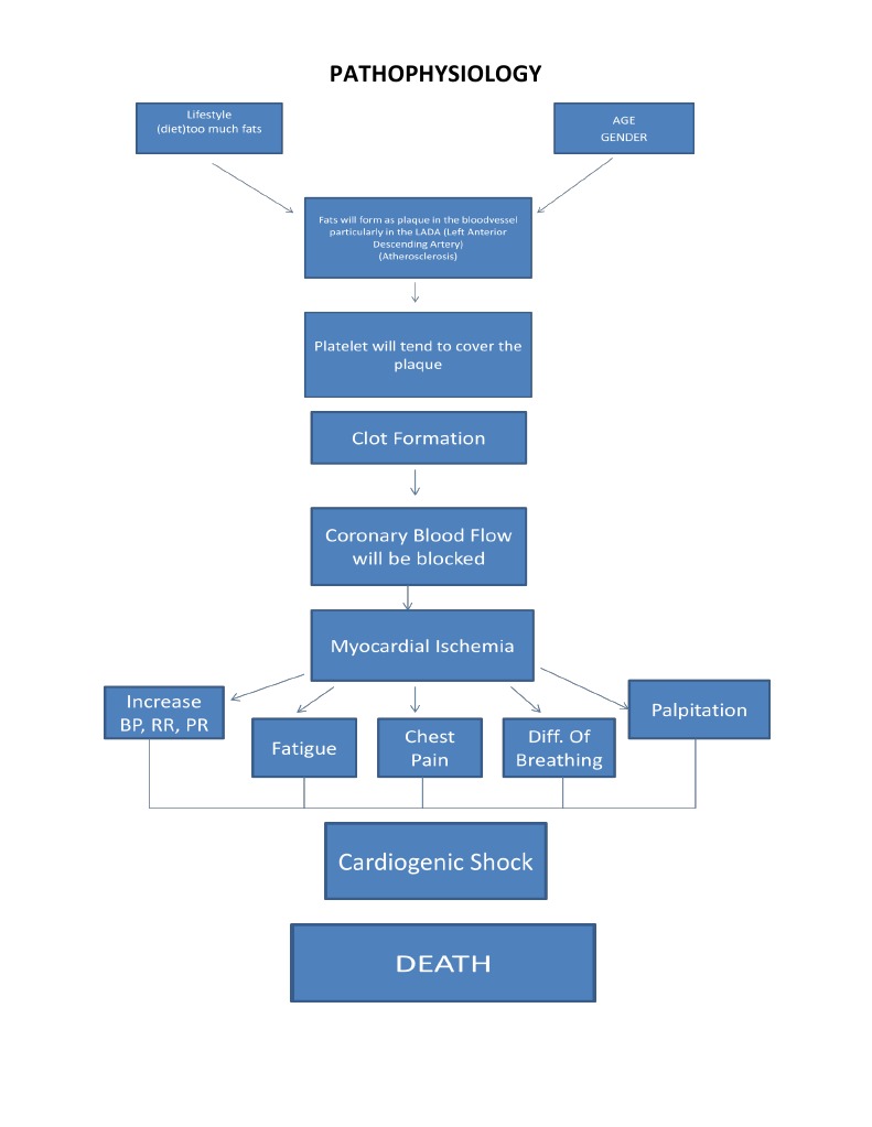 Myocardial Infarction Pathophysiology | PDF