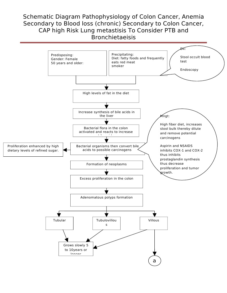 Diagram of Pathophysiology Cancer | Colorectal Cancer | Large Intestine