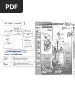 ICU NCP Airway | PDF | Respiratory Tract | Respiratory System