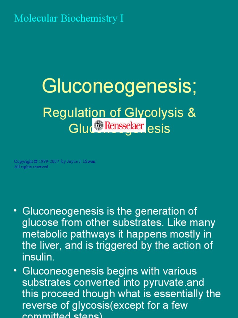 Gluconeogenesis : Regulation of Glycolysis & Gluconeogenesis | PDF ...