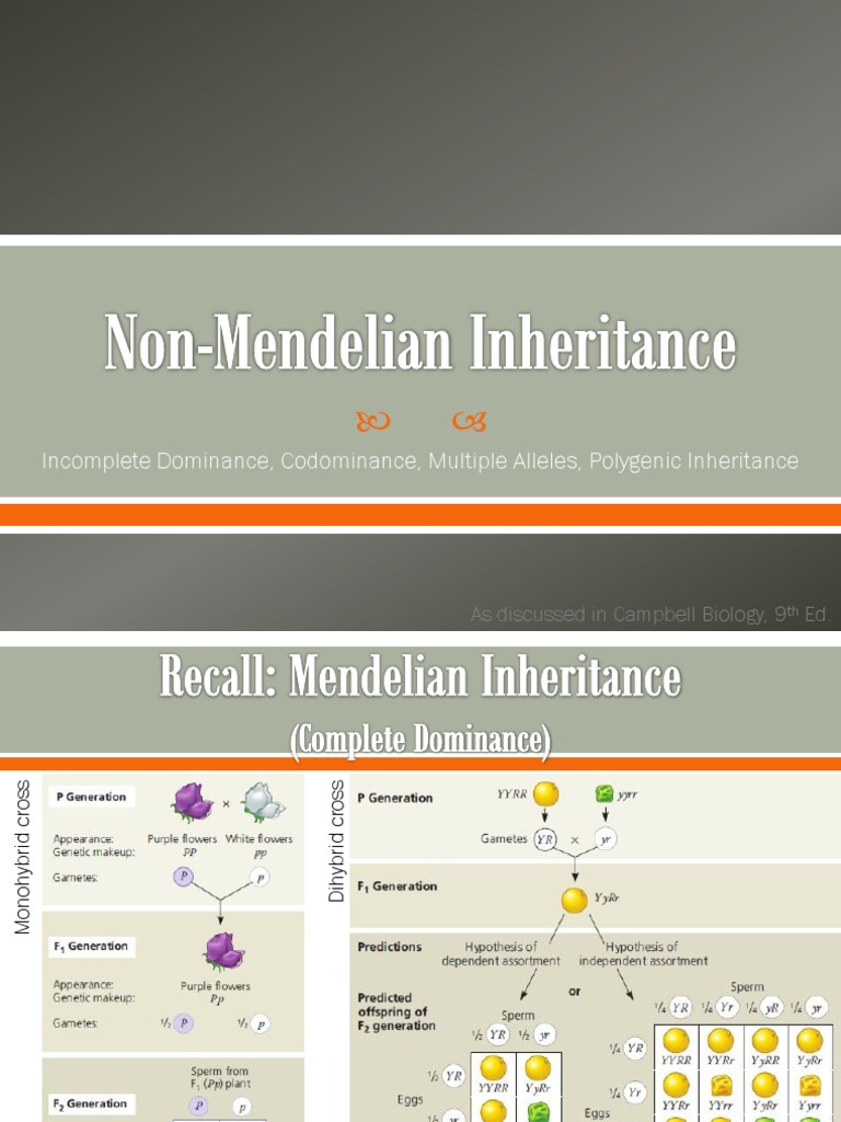 Incomplete Dominance, Codominance, Multiple Alleles, Polygenic ...