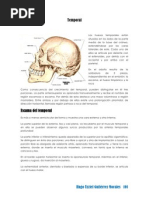 Anatomía de la Apófisis Mastoides | PDF | Anatomía humana | Cabeza y ...