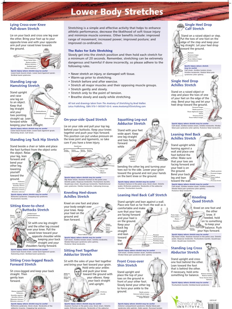Stretching Charts | PDF