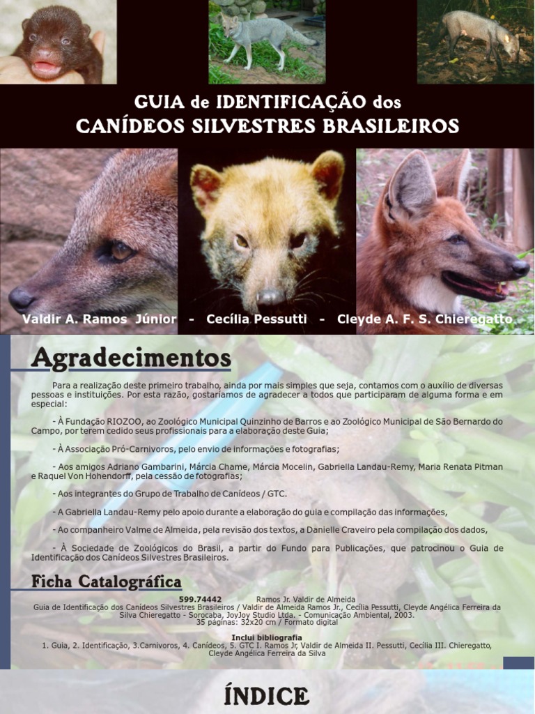 Guia de Identificação Dos Canideos Silvestres Brasileiros | PDF ...